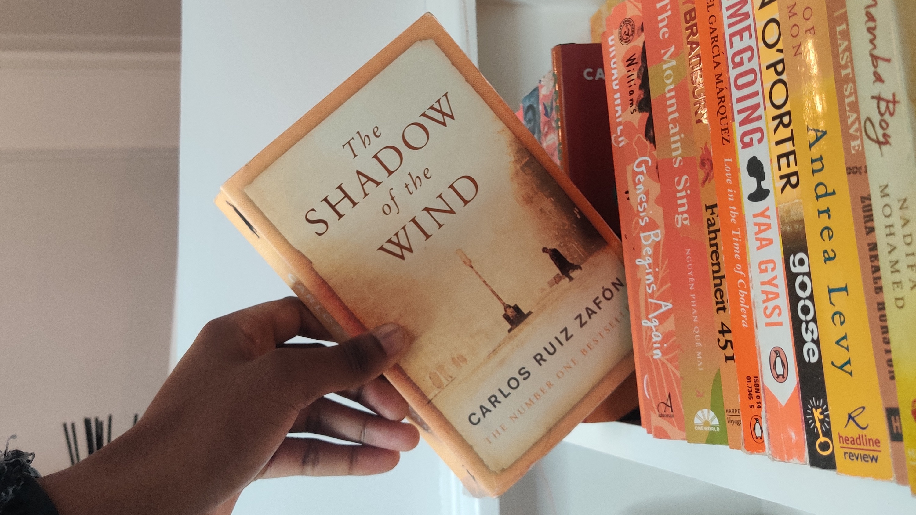 Review: The Shadow of the Wind – Amina’s Bookshelf