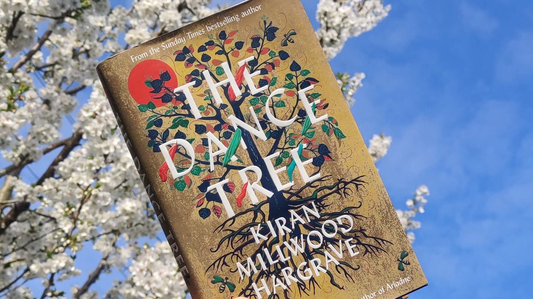 The Dance Tree – Amina’s Bookshelf