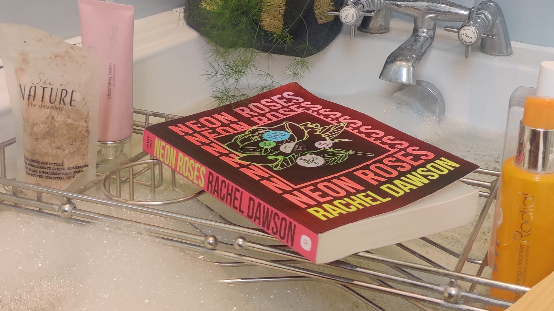 Neon Roses – Amina’s Bookshelf
