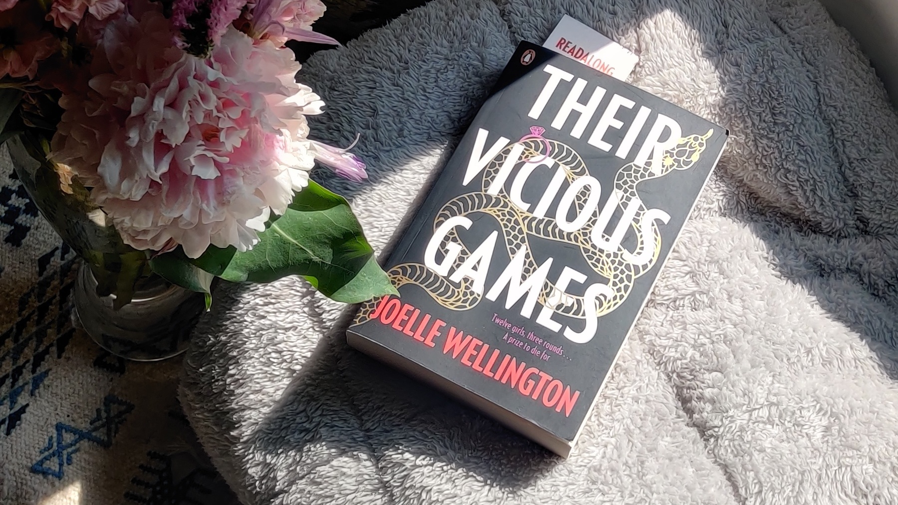 Their Vicious Games – Amina’s Bookshelf